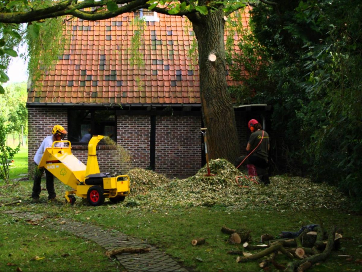 Noleggio Cippatore e trituratore M300 13HP (max 7 cm) - Sistema Gamma ...